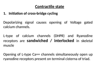 Cardiac excitation contraction coupling.pptx
