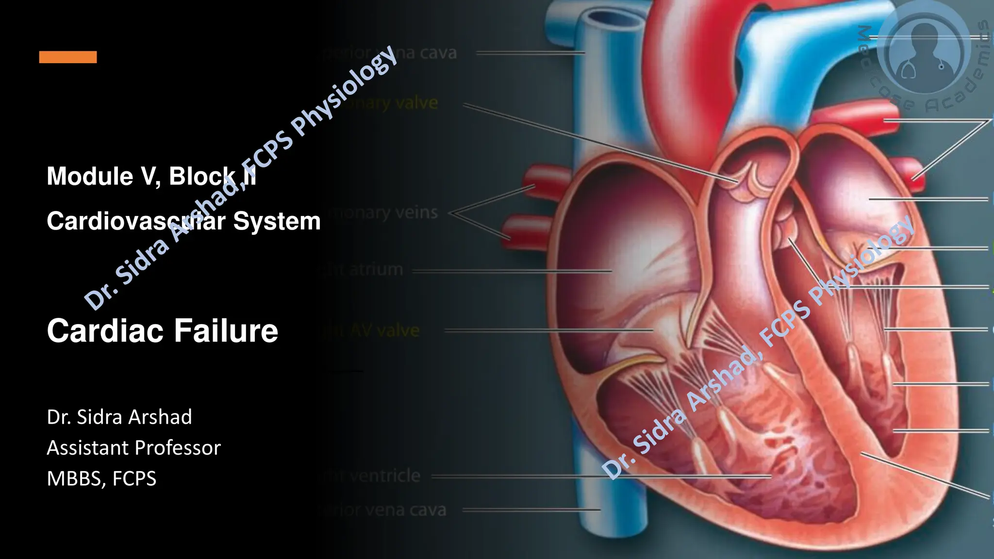 Cardiovascular Physiology - Cardiac Failure | PDF