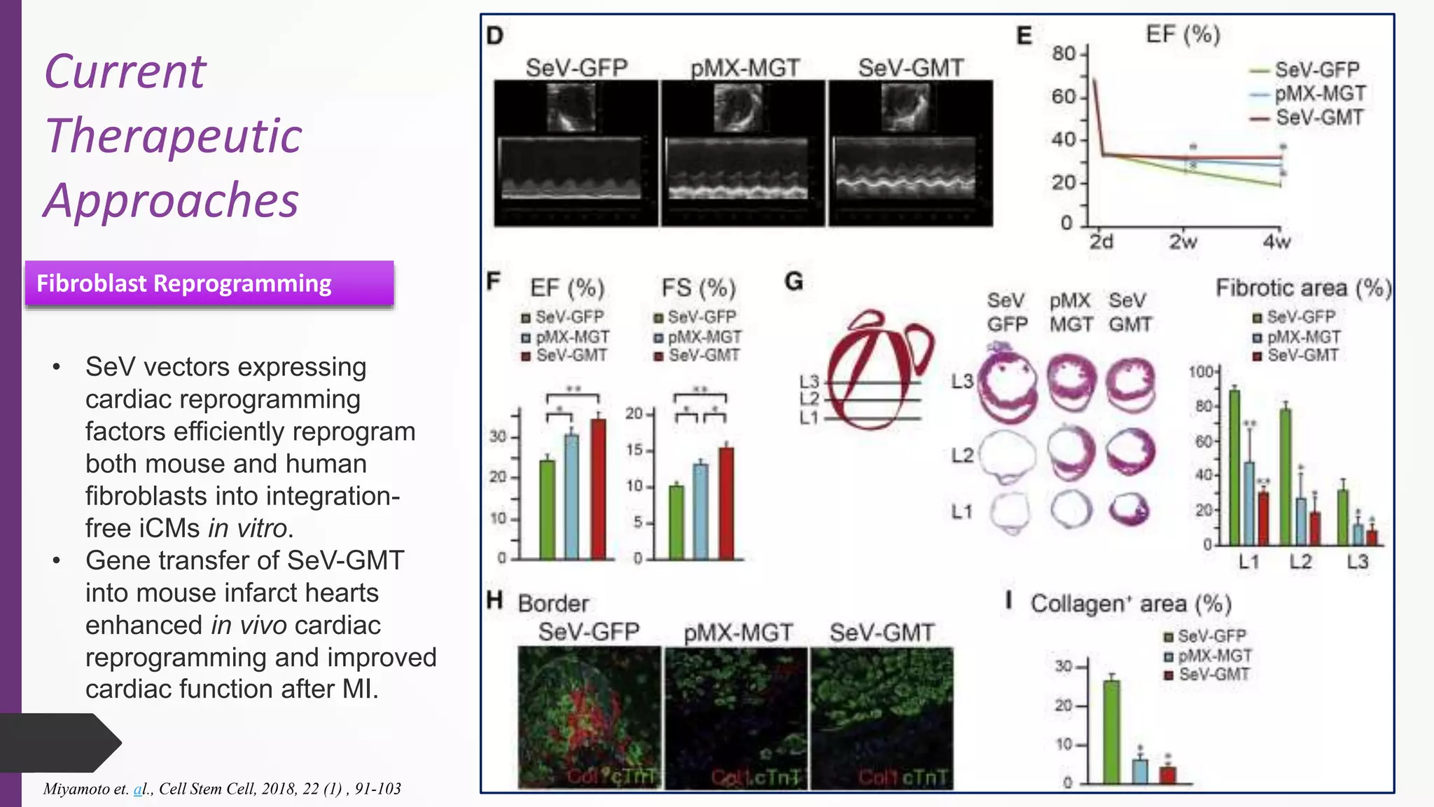 Cardiac Fibrosis – A Comprehensive Overview of Mechanisms, Tools and ...