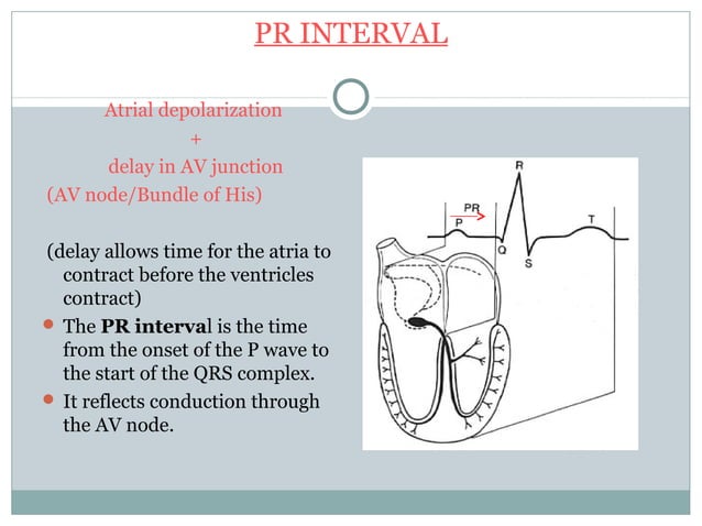 Cardiac function testing | PPT