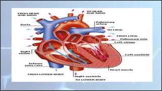 Cardiac function tests | PPTX