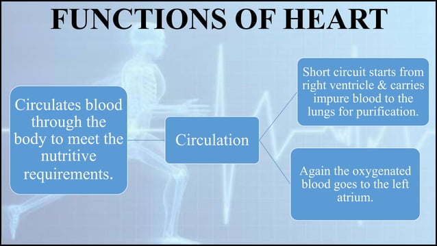 Cardiac function tests | PPTX | Heart and Cardiovascular Diseases ...