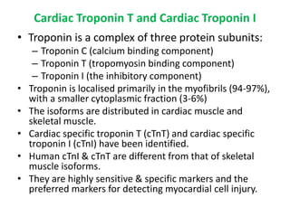 Cardiac function tests and related abnormalities .pptx