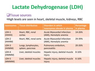 Cardiac function tests and related abnormalities .pptx