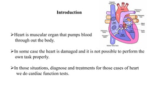 cardiac function tests and interpretation of results | PDF