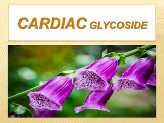 Cardiac glycoside PHARMACOLOGY | PPTX