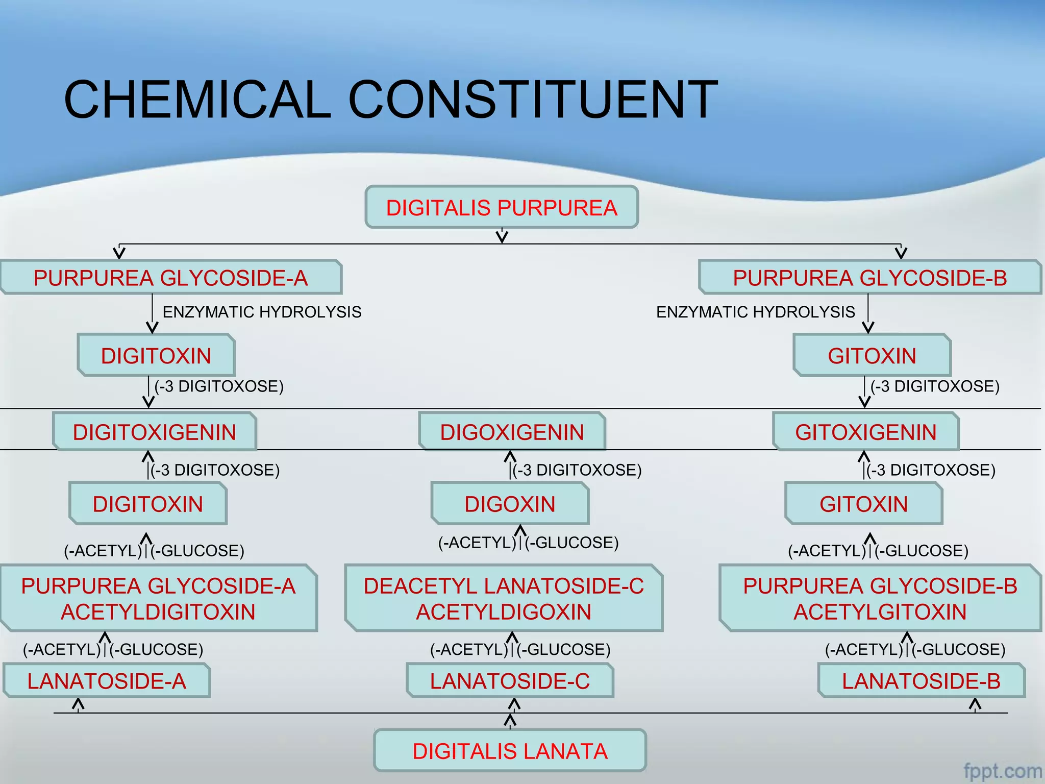 Cardiac glycoside | PPT