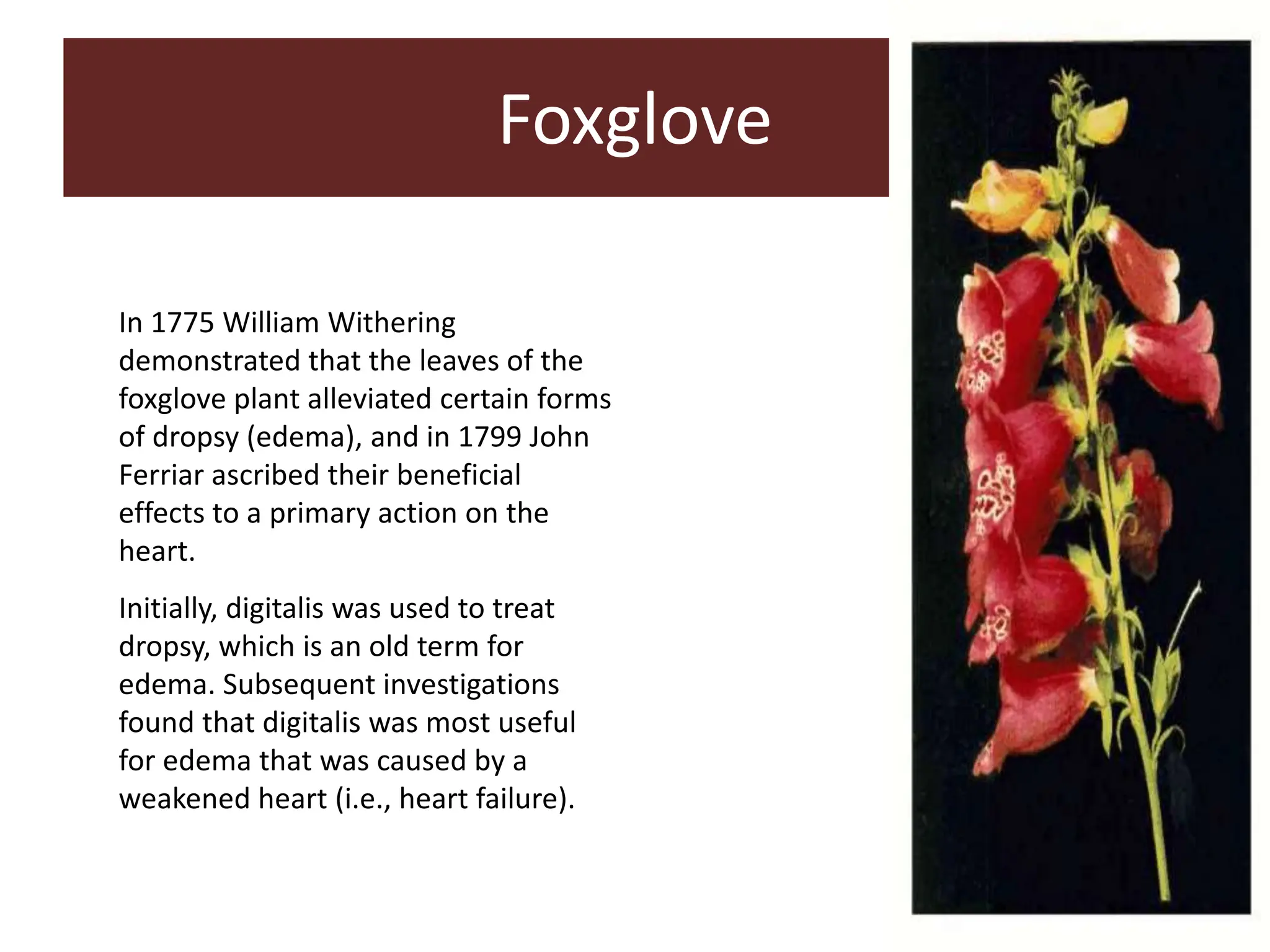 Cardiac Glycosides and it's side affecte | PPTX