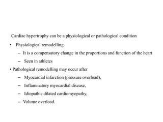 Cardiac hypertrophy - Molecules and drugs involved | PPTX
