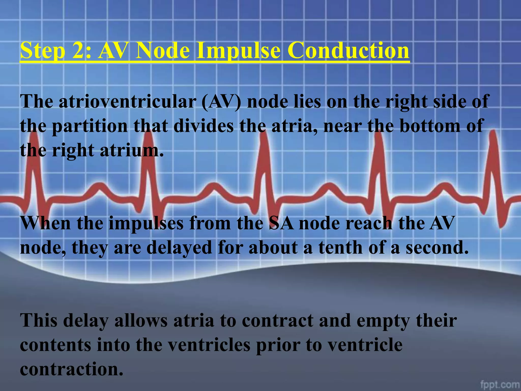 Generation and conduction of Cardiac impulse | PPT