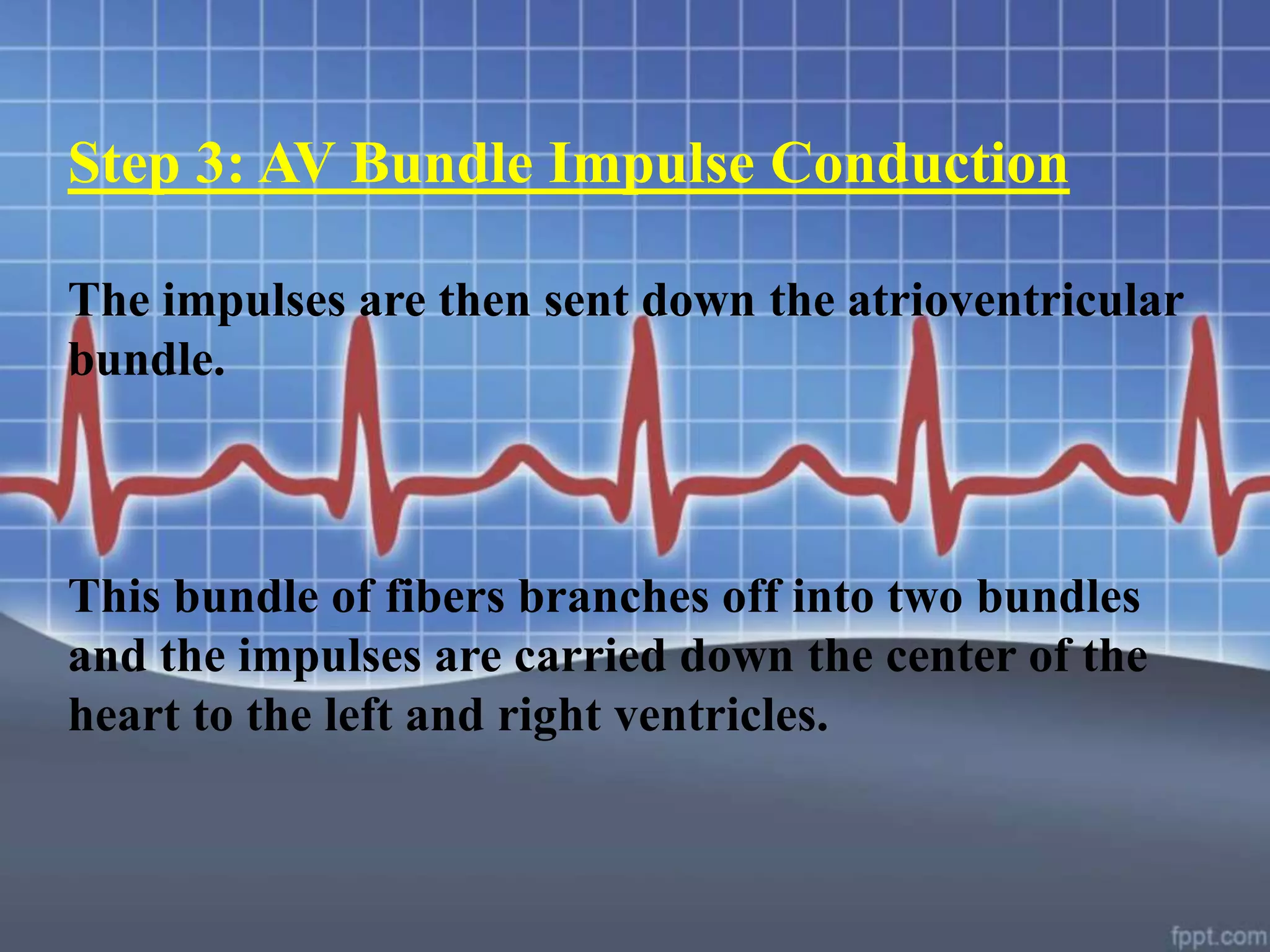 Generation and conduction of Cardiac impulse | PPT
