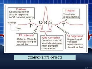 Generation and conduction of Cardiac impulse | PPT
