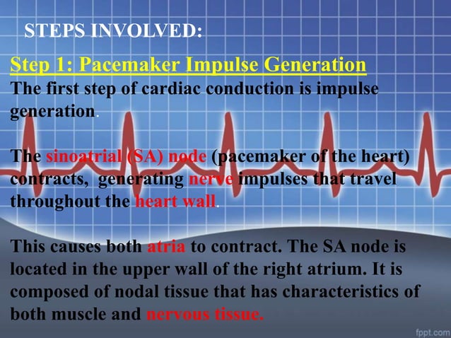 Generation and conduction of Cardiac impulse | PPT