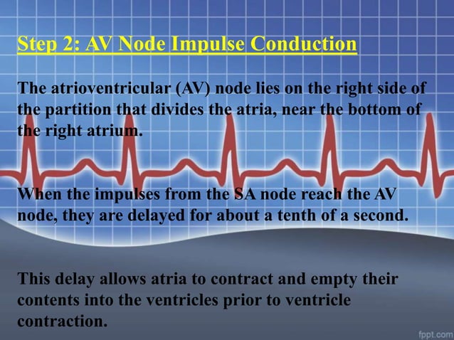 Generation and conduction of Cardiac impulse | PPT