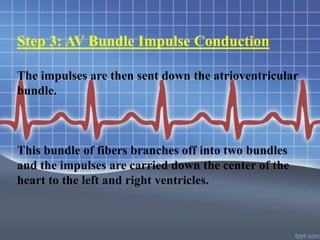 Generation and conduction of Cardiac impulse | PPT