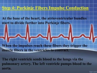Generation and conduction of Cardiac impulse | PPT