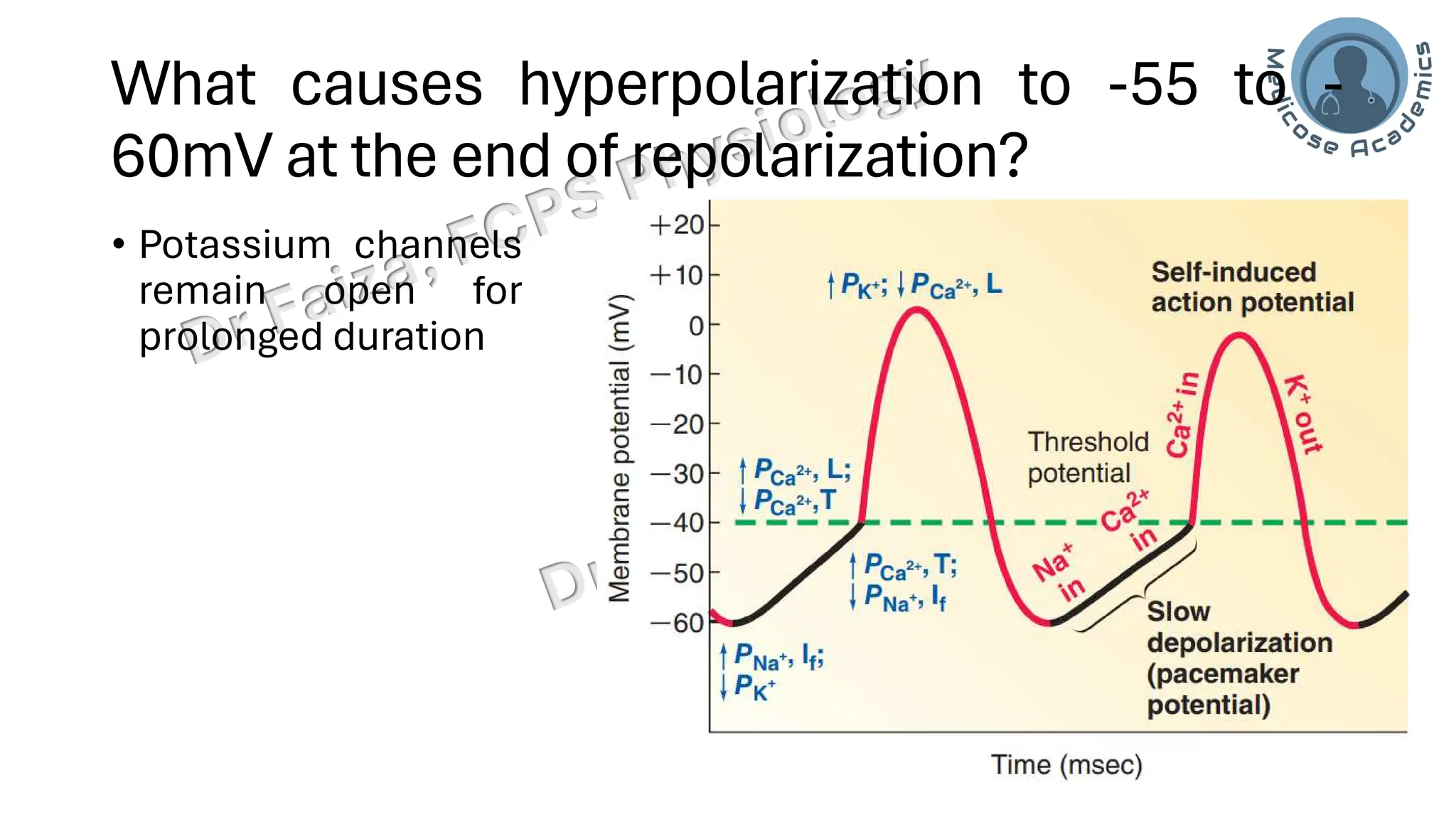 Cardiac Impulse: Rhythmical Excitation and Conduction in the Heart | PDF