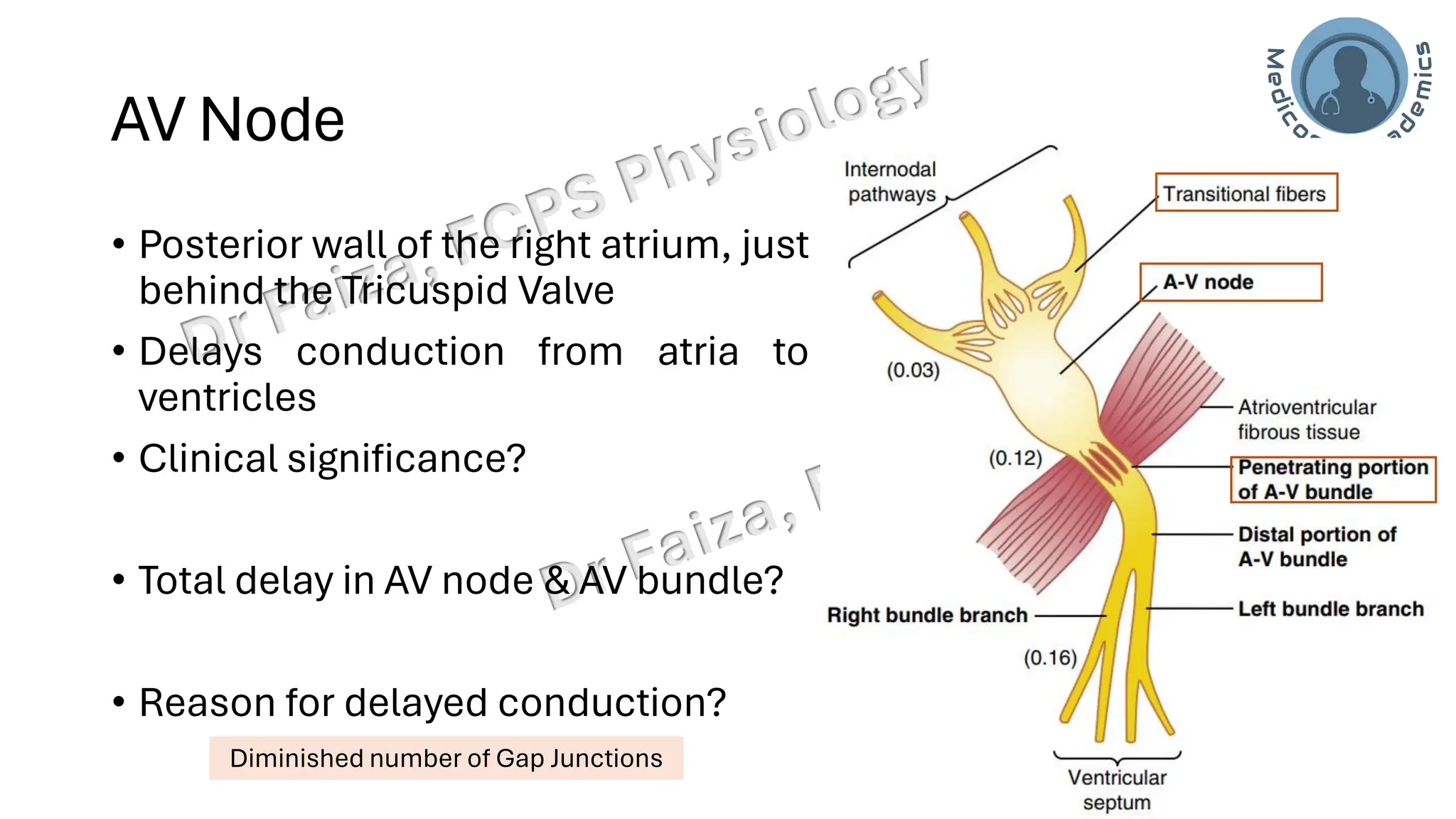 Cardiac Impulse: Rhythmical Excitation and Conduction in the Heart | PDF