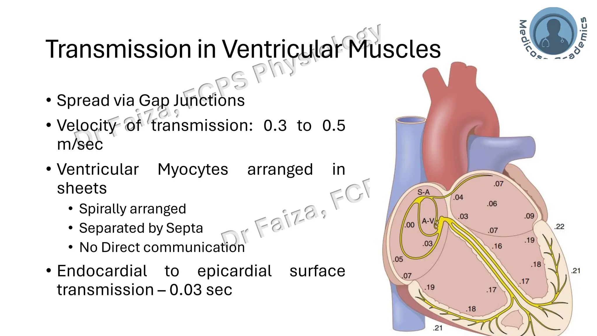 Cardiac Impulse: Rhythmical Excitation and Conduction in the Heart | PDF