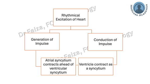 Cardiac Impulse: Rhythmical Excitation and Conduction in the Heart | PDF