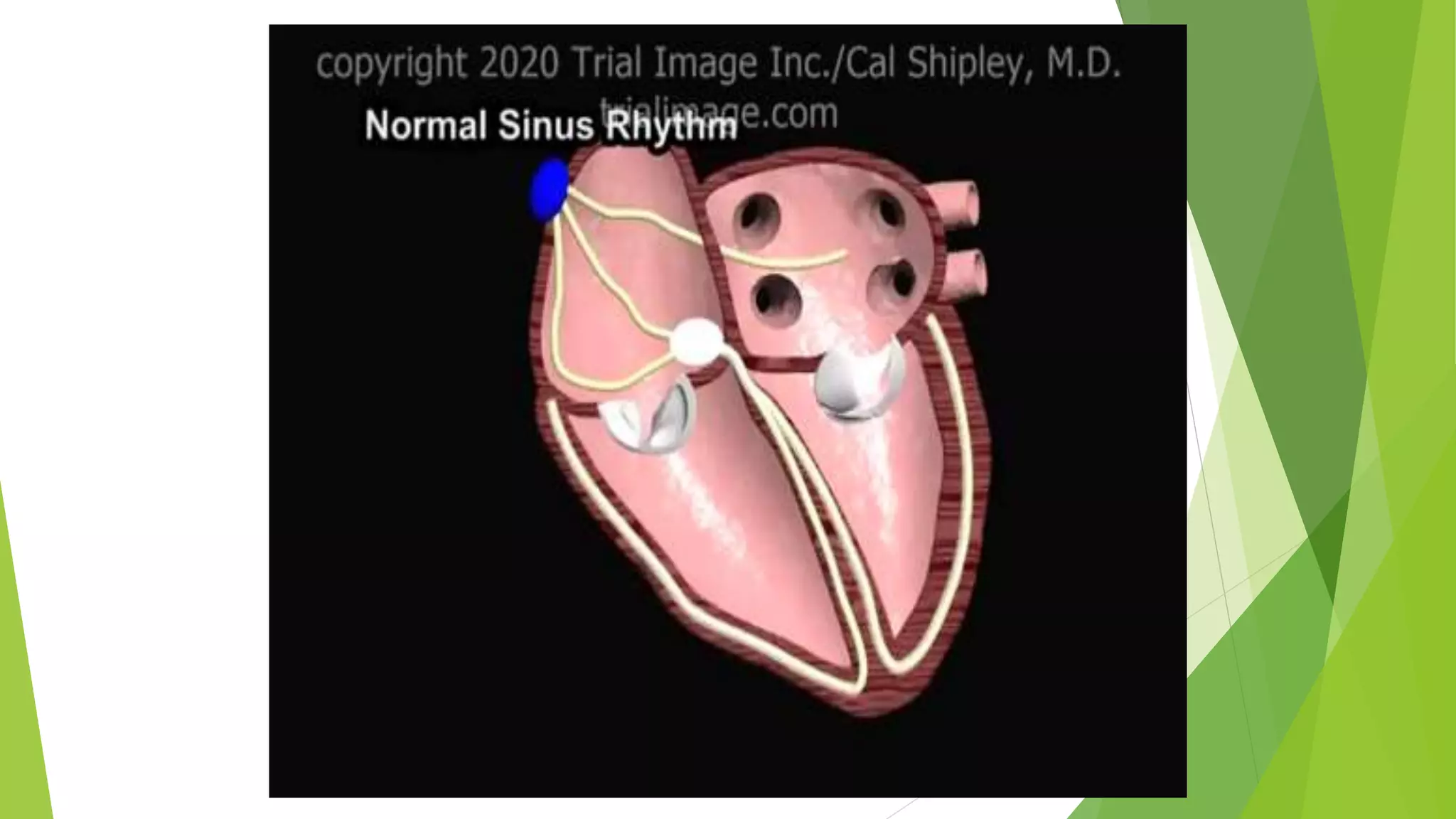Cardiac impulse conduction and innervation.pptx