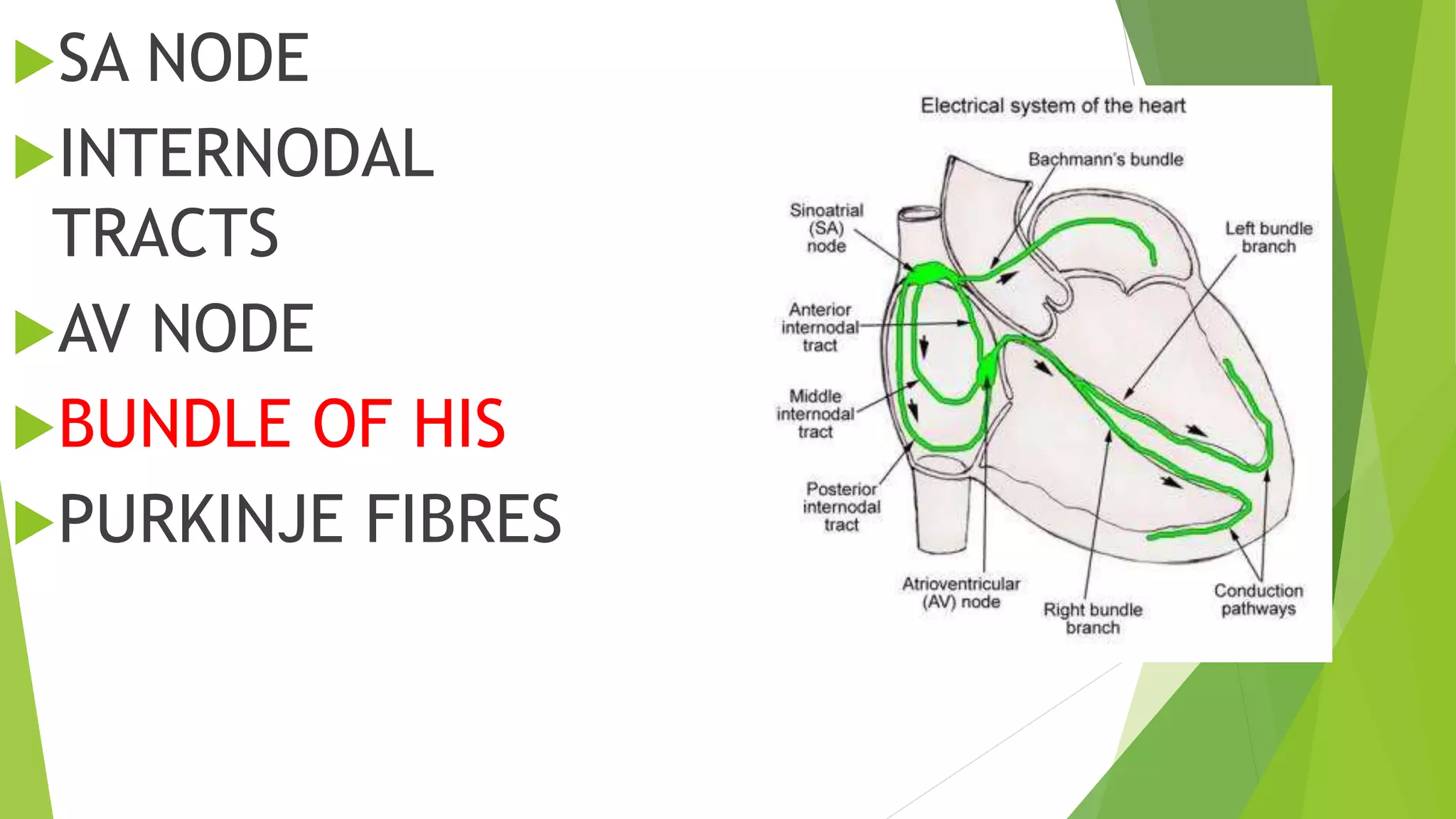 Cardiac impulse conduction and innervation.pptx