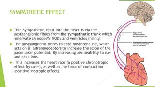 Cardiac impulse conduction and innervation.pptx