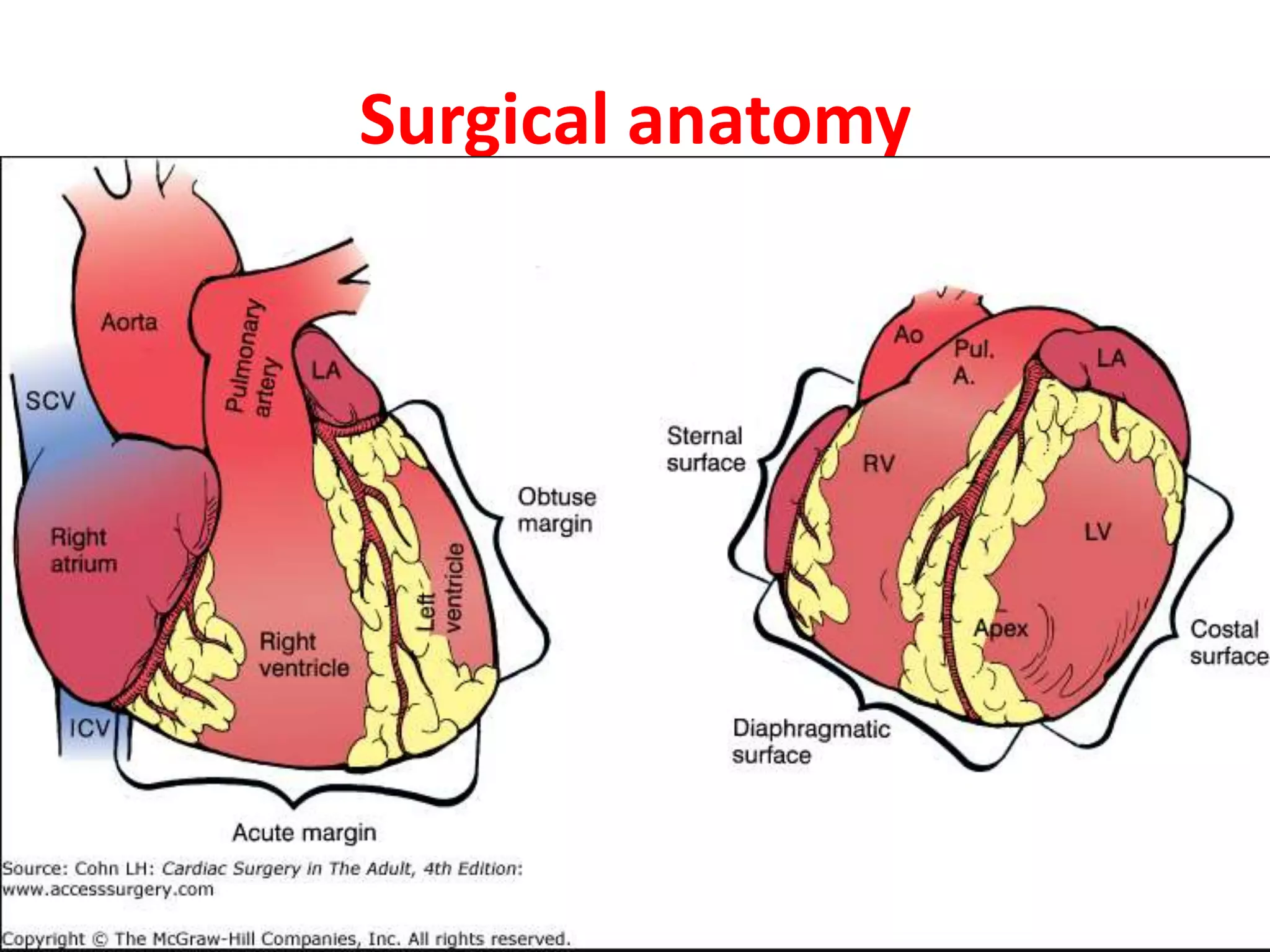 Cardiac injuries copy | PPTX