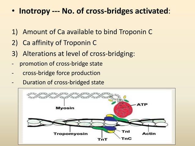 CARDIAC INOTROPES - DR SANDEEP MOHANAN.ppsx
