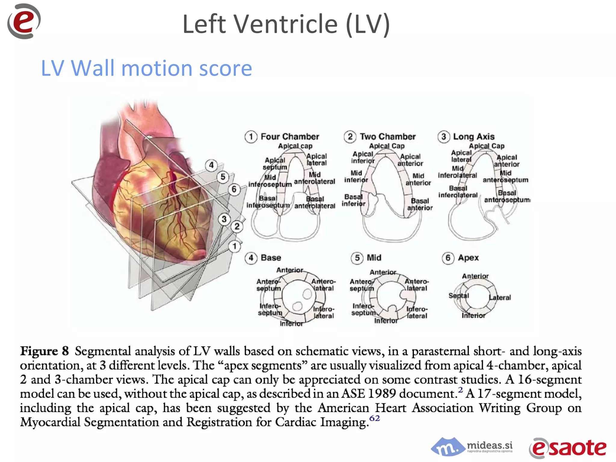Cardiacmeasurementsguidelinesesaotemideas 140324014158-phpapp02 | PDF