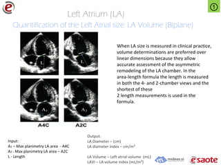 Cardiacmeasurementsguidelinesesaotemideas 140324014158-phpapp02 | PDF