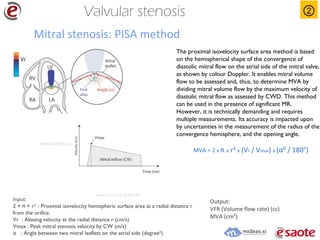 Cardiacmeasurementsguidelinesesaotemideas 140324014158-phpapp02 | PDF