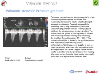 Cardiacmeasurementsguidelinesesaotemideas 140324014158-phpapp02 | PDF