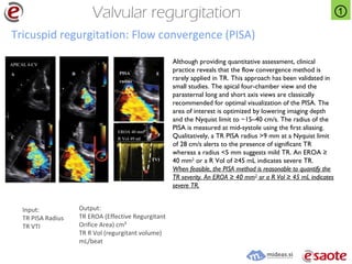 Cardiacmeasurementsguidelinesesaotemideas 140324014158-phpapp02 | PDF