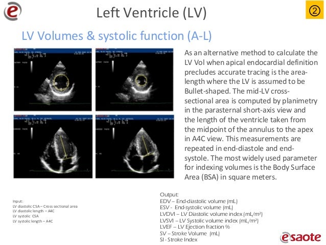 Cardiac Measurements Guidelines | powered by Esaote
