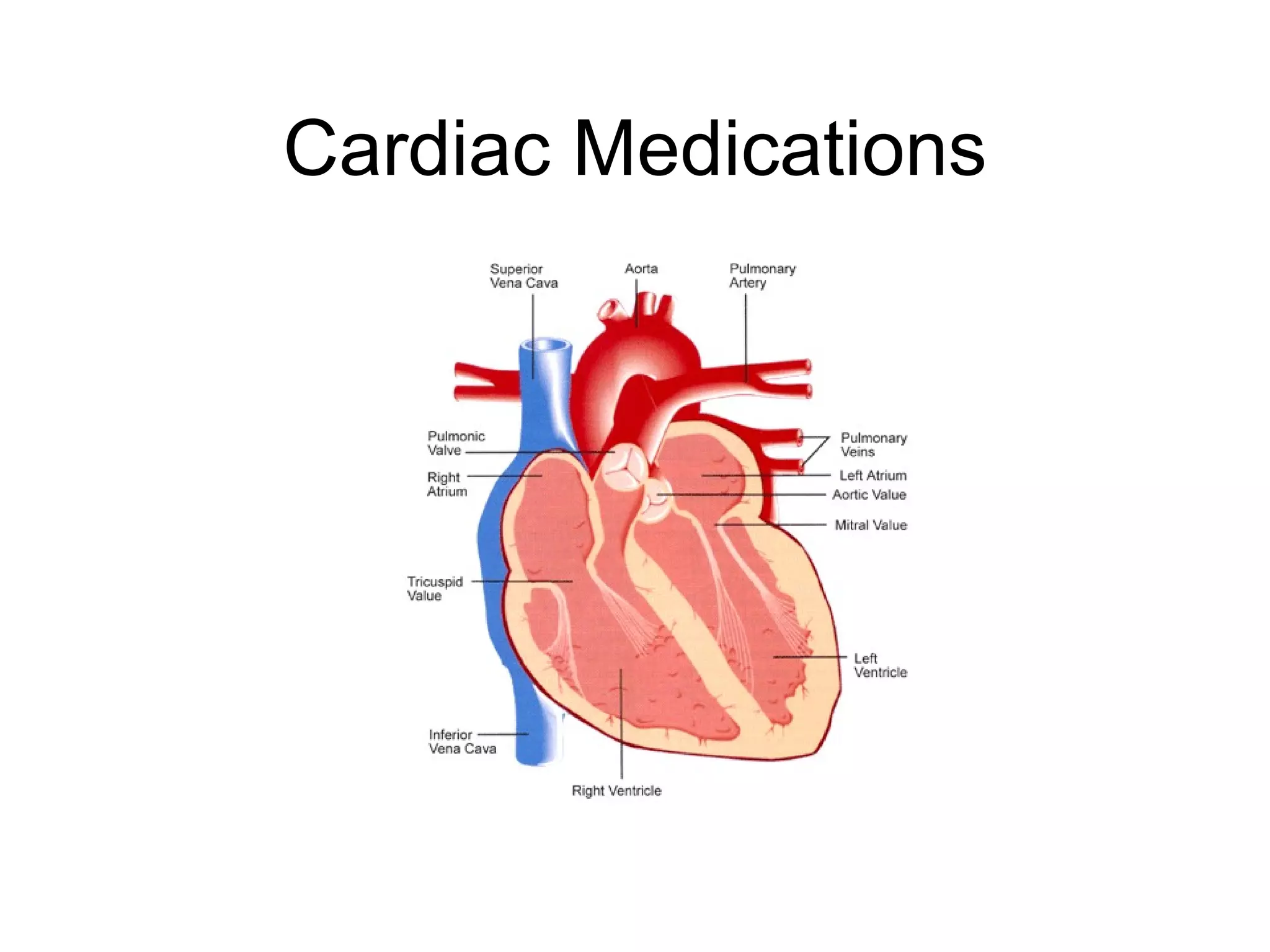 Cardiac Medications | PPT