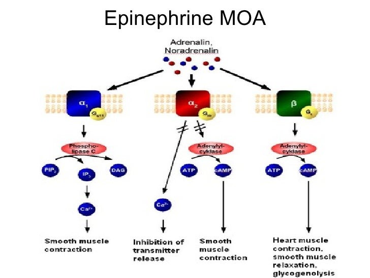 Cardiac Medications