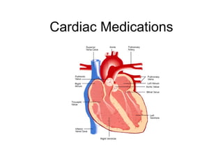 Cardiac medications | PPT