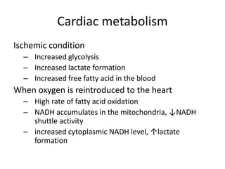 Cardiac metabolism.pptx
