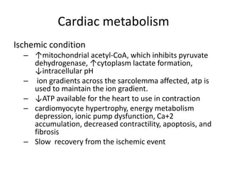 Cardiac metabolism.pptx