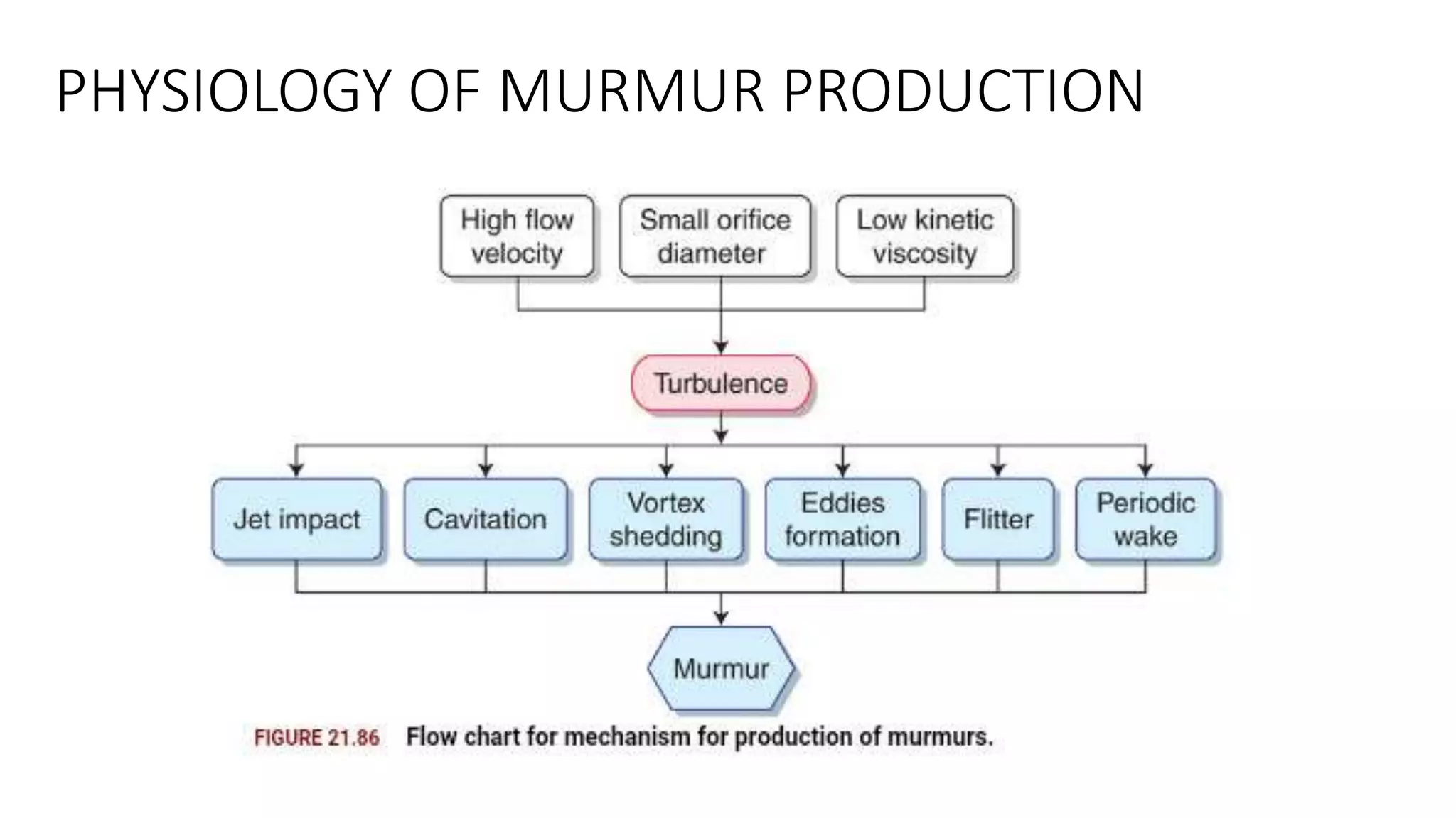 Cardiac Murmur & Dynamic Auscultation.pptx