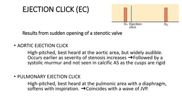 Cardiac Murmur & Dynamic Auscultation.pptx