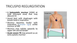 Cardiac Murmur & Dynamic Auscultation.pptx