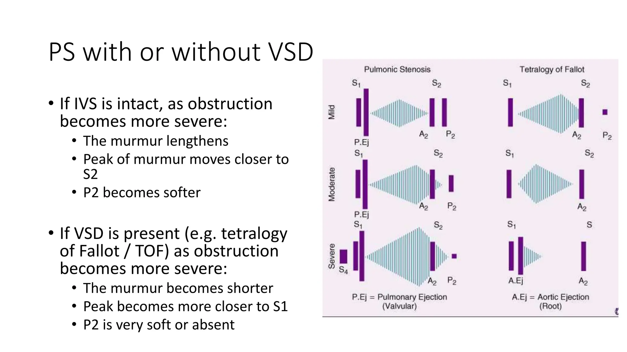 Cardiac Murmur & Dynamic Auscultation.pptx