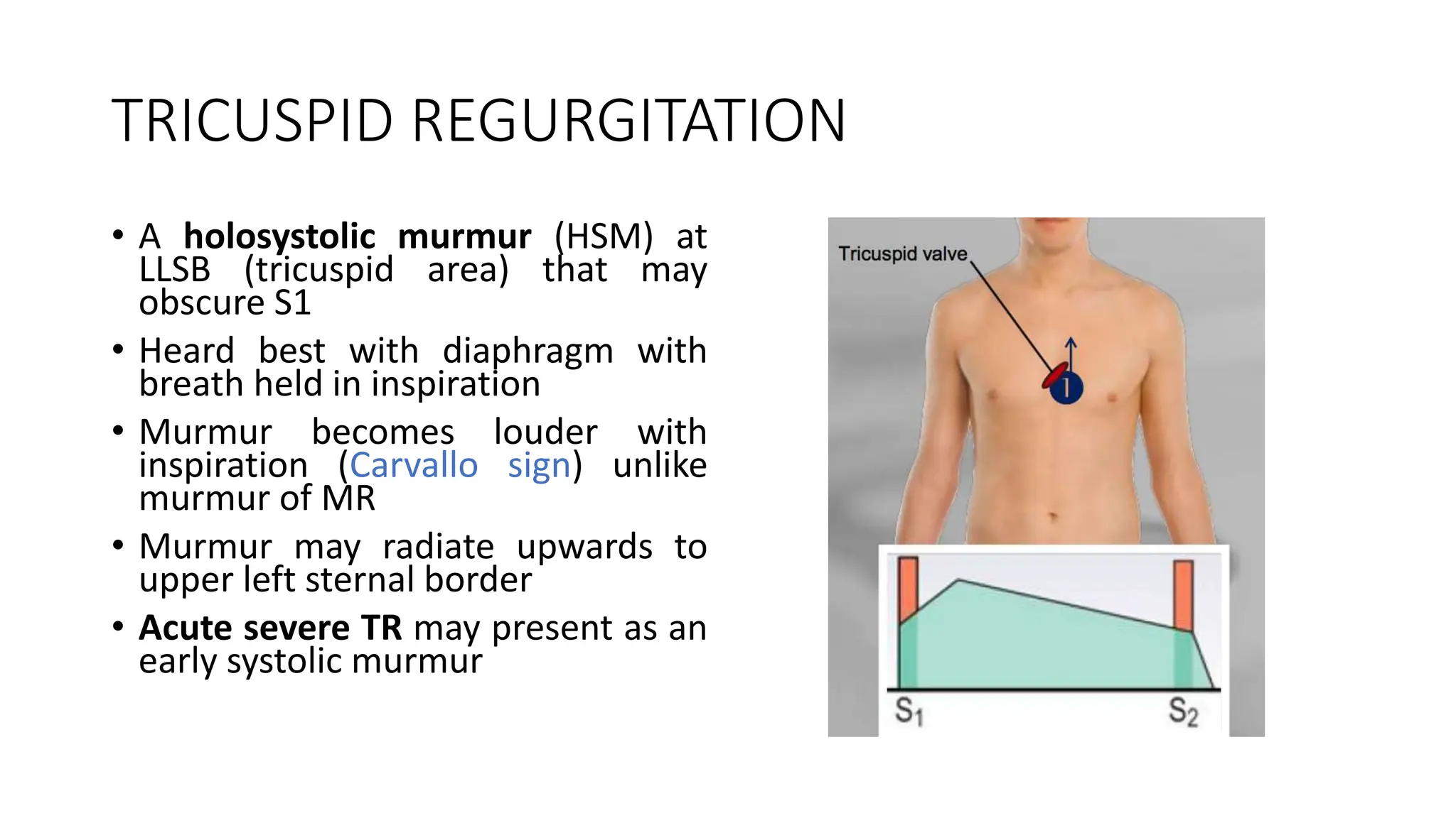 Cardiac Murmur & Dynamic Auscultation.pptx