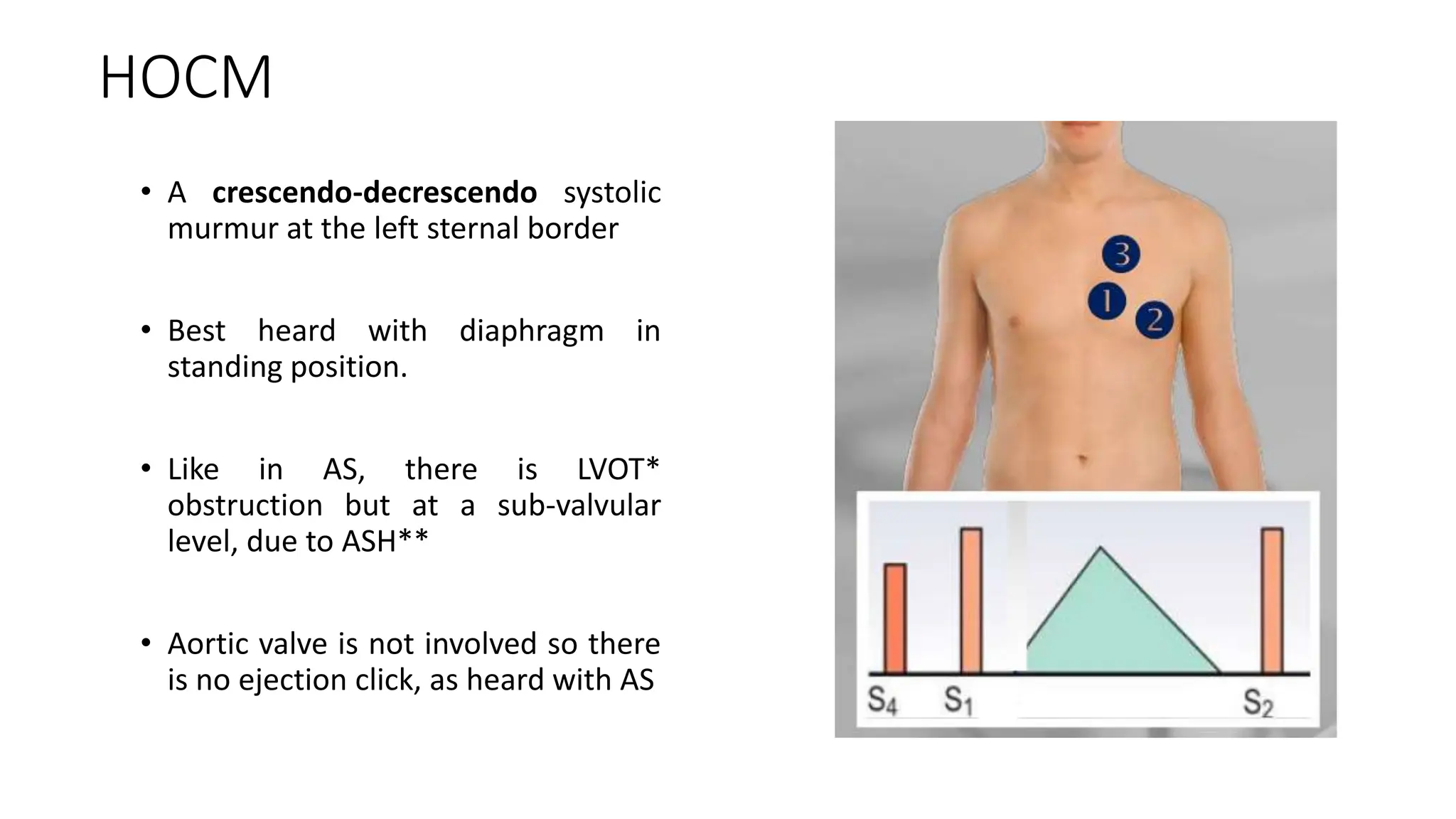 Cardiac Murmur & Dynamic Auscultation.pptx