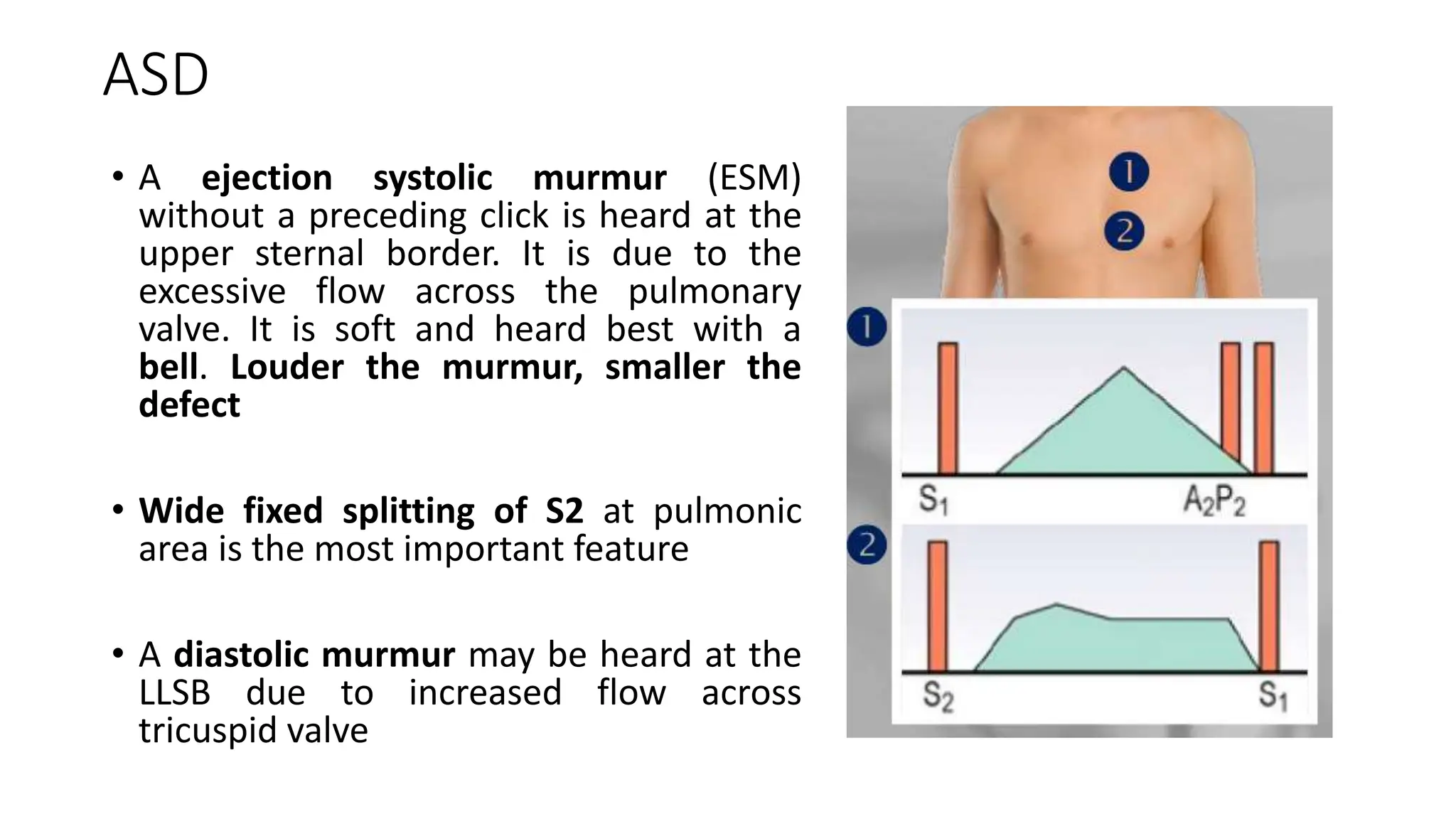 Cardiac Murmur & Dynamic Auscultation.pptx