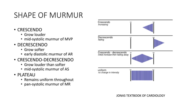Cardiac Murmur & Dynamic Auscultation.pptx | Heart and Cardiovascular ...
