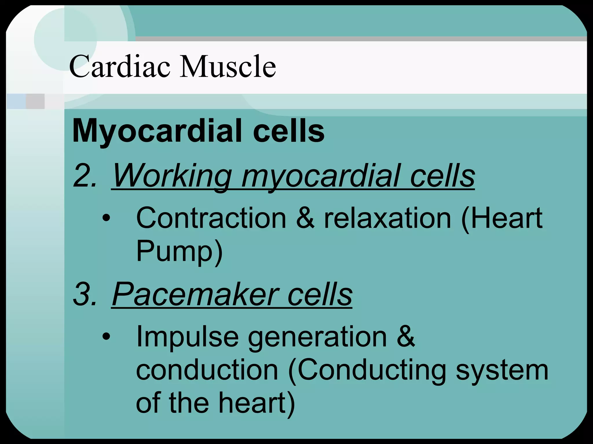 Cardiac muscle | PPS