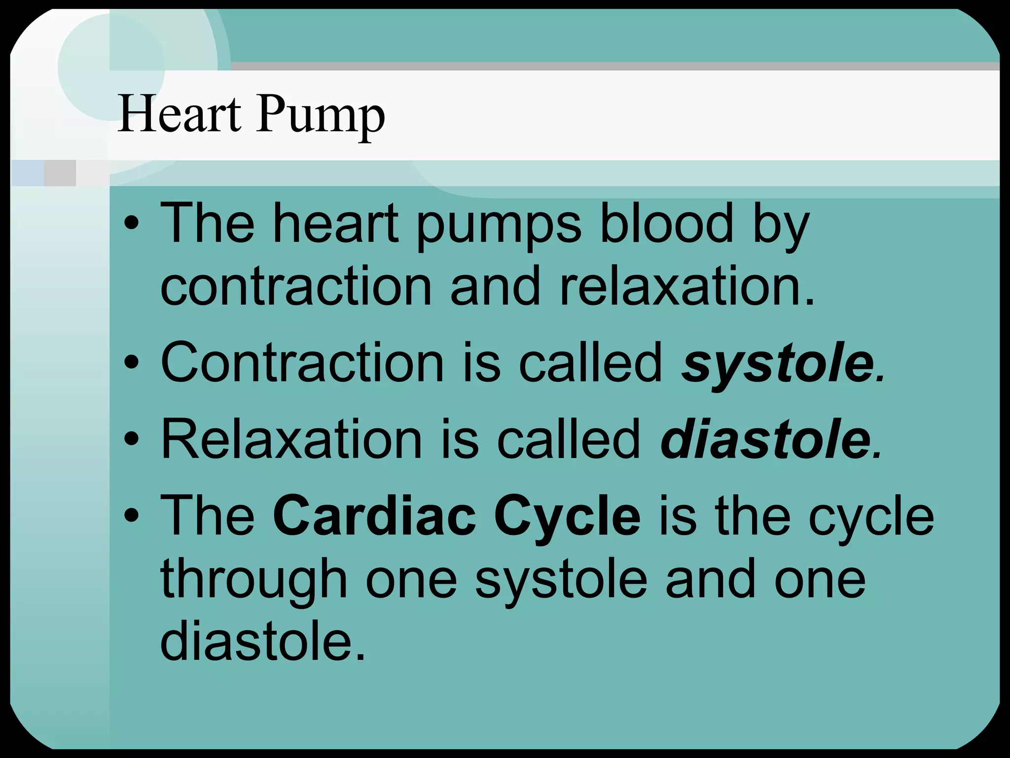 Cardiac muscle | PPS